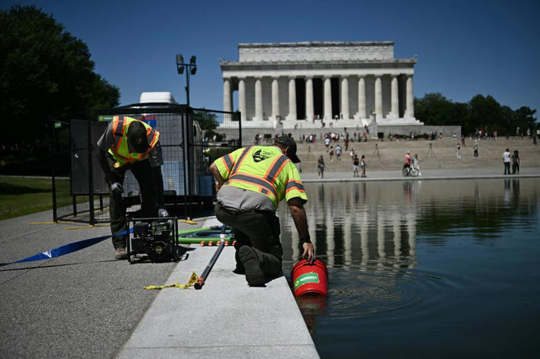 Donald Trump's green reflecting pool gains hilarious MAGA nickname