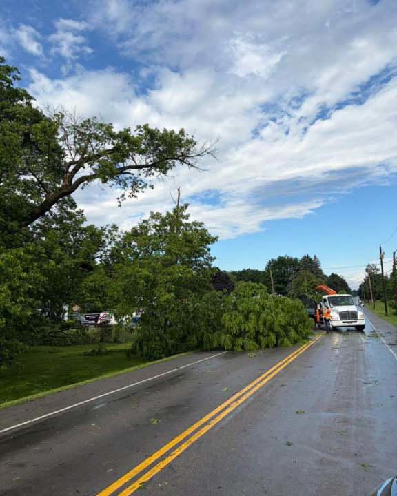 Strong winds downing trees and causing power outages throughout the ...