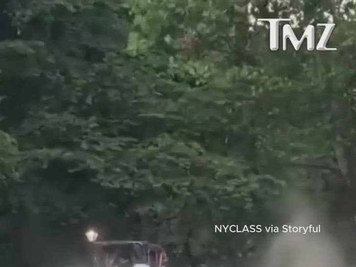 Teen dies after being thrown from Central Park carriage