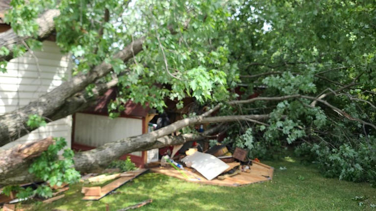 Photos | Tree falls on shed at Cumberland County home