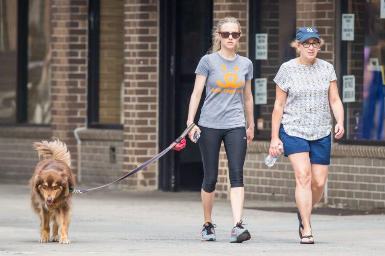 Amanda Seyfried says dog Finn is her 'soulmate'
