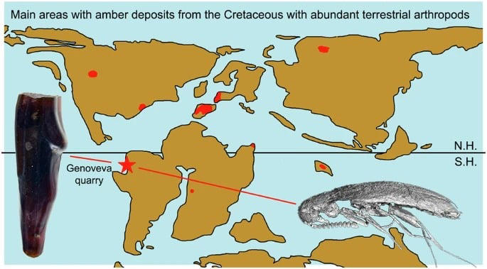 Researchers uncovered 21 ancient creatures trapped in an amber deposit ...