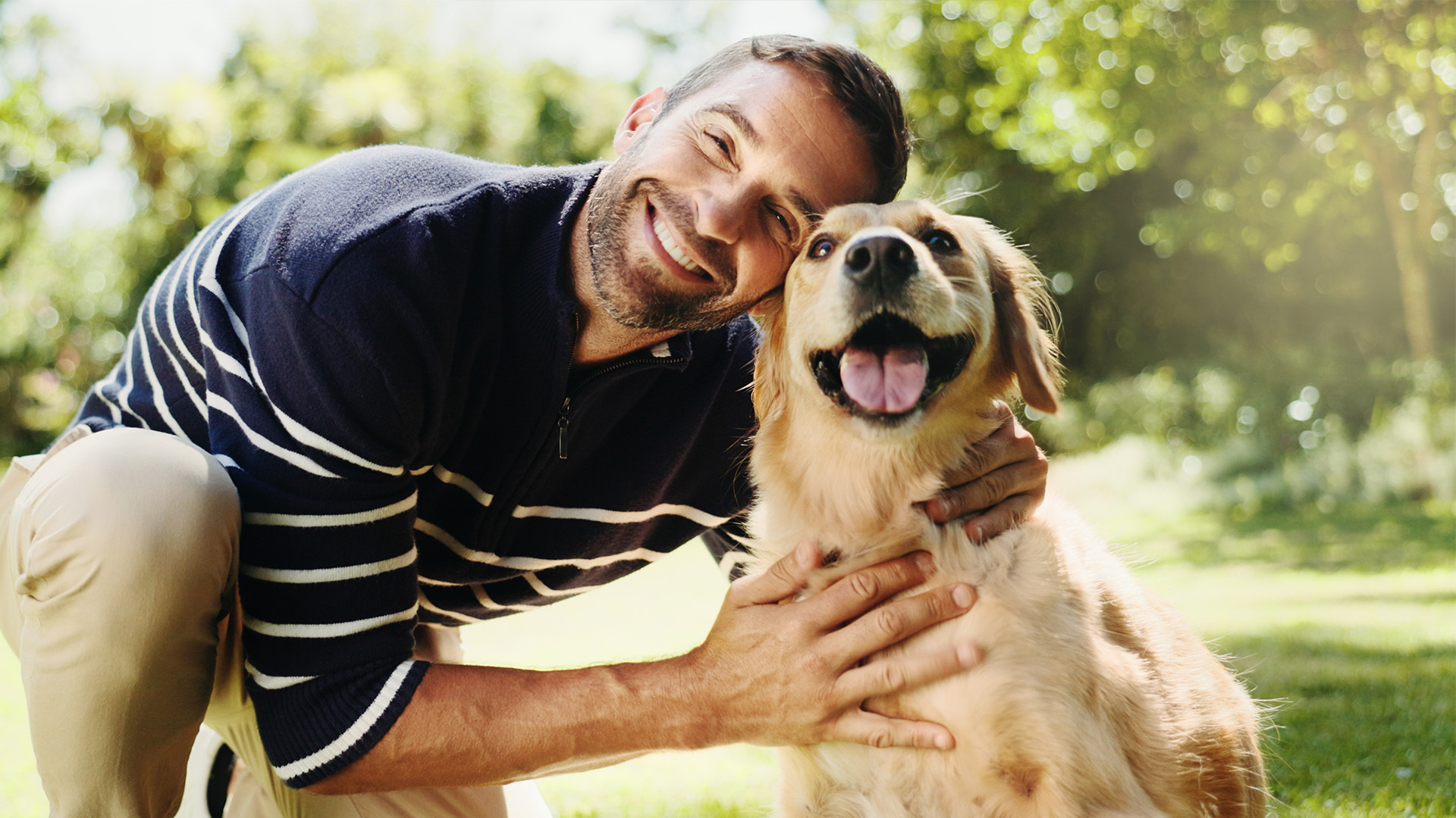 Find the perfect dog for your personality type