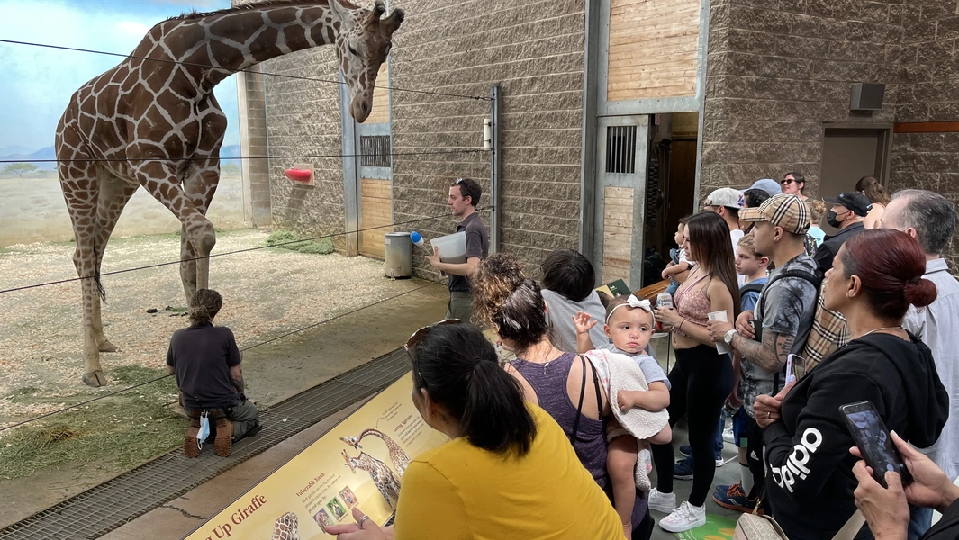 10 notable zoos across the United States