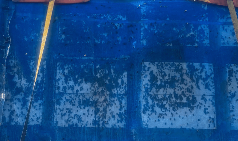 OKCFD uses water to cool truck carrying bees after it broke down on I-35