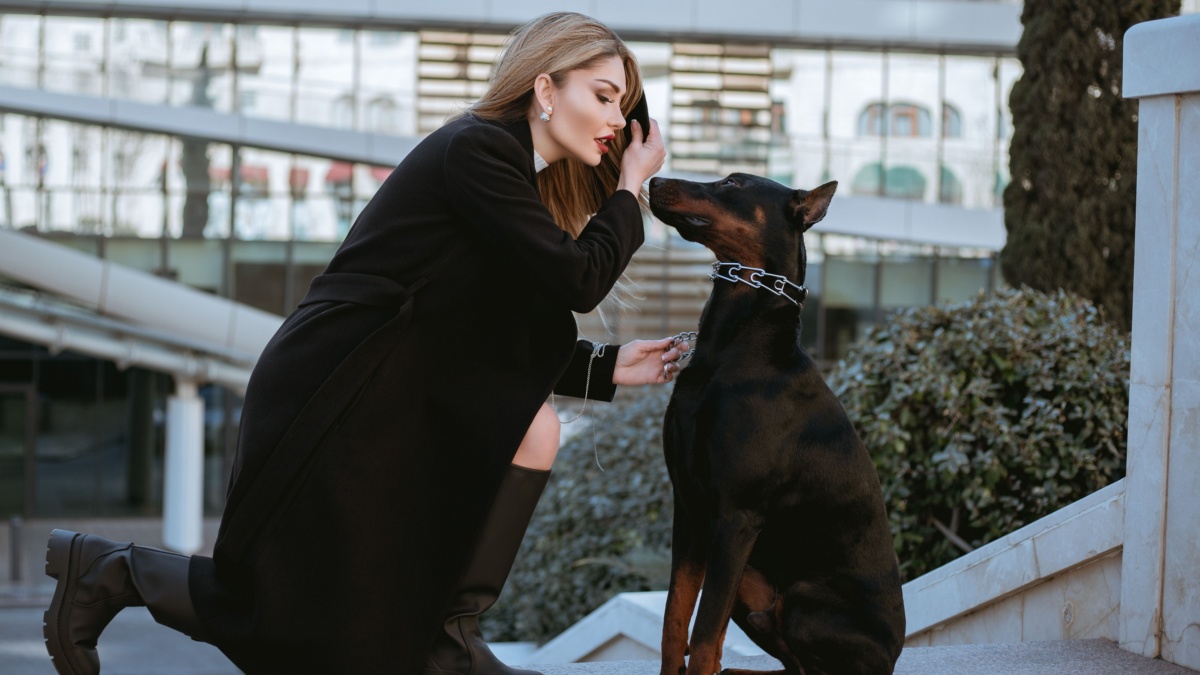 According to science, dogs can sense these emotions instantly