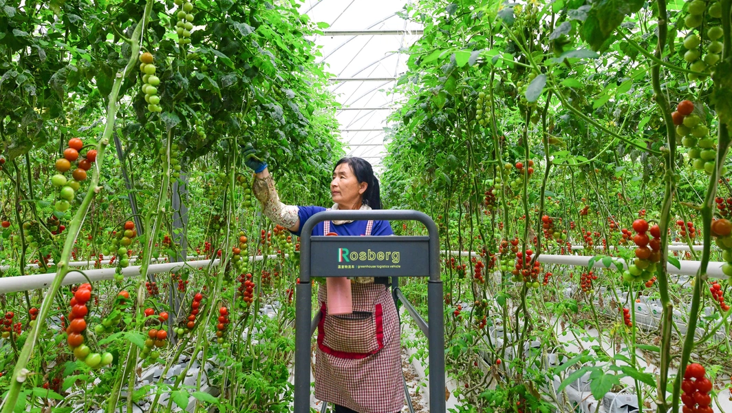 15 productive plants for year-round greenhouse growing