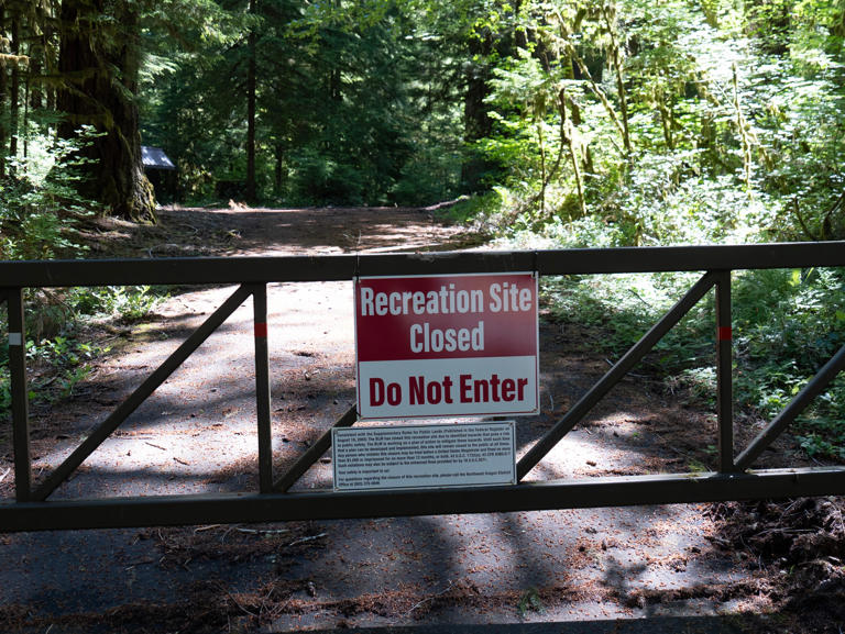 What's next for beloved Yellowbottom campground, Quartzville corridor