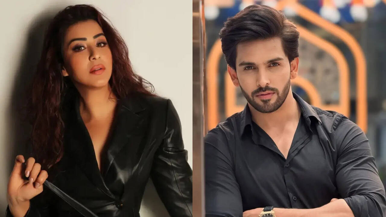 Shilpa Shinde criticizes television 'mafia' in response to Shehzada ...