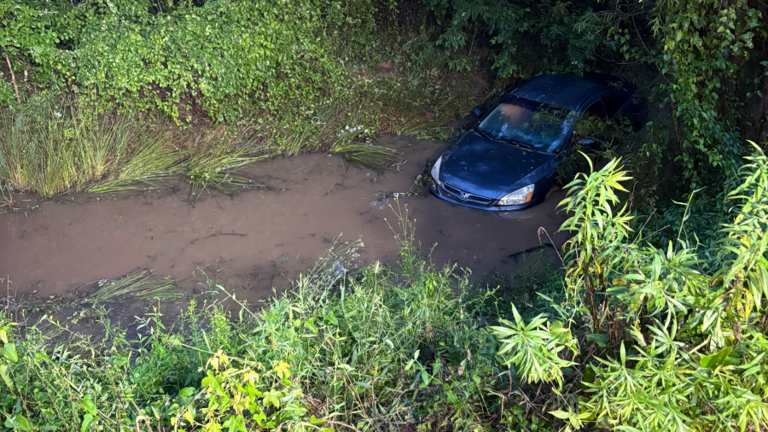 Teen escapes unharmed after car goes into water-filled ditch
