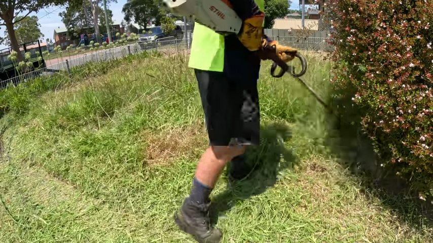 How tall grass turned into a clean property again