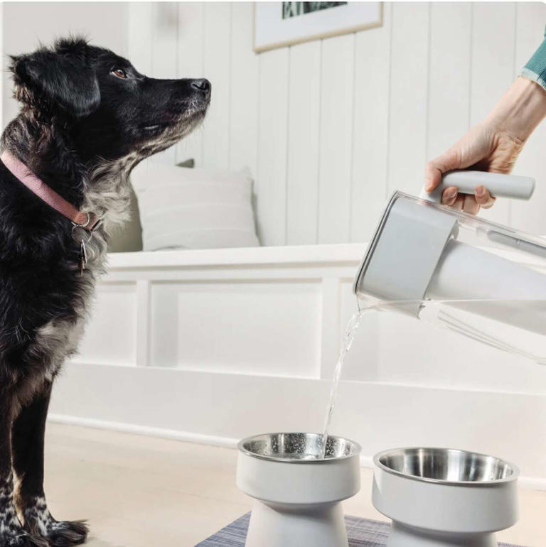 The best water filters for cleaner, better-tasting sips