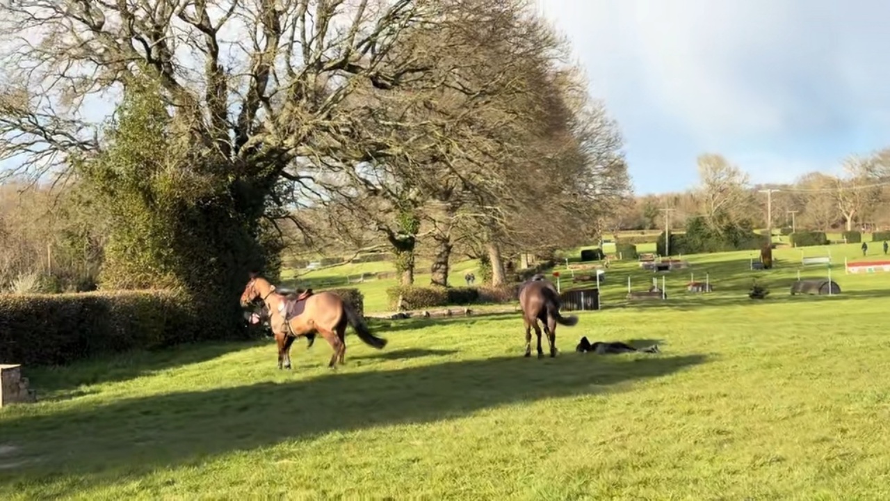 Cross-country lesson turns into a perfectly timed double fall