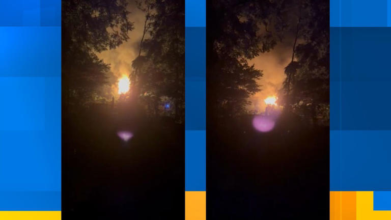 Two animals unable to escape Sevier County fire