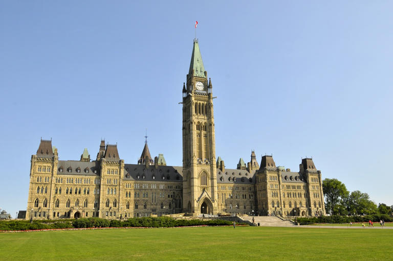 Ottawa’s forced-labour bill leaves some child-labour imports outside ...