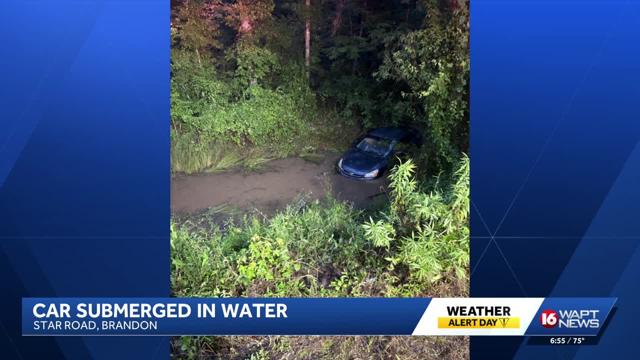 Driver escapes car in flooded ditch