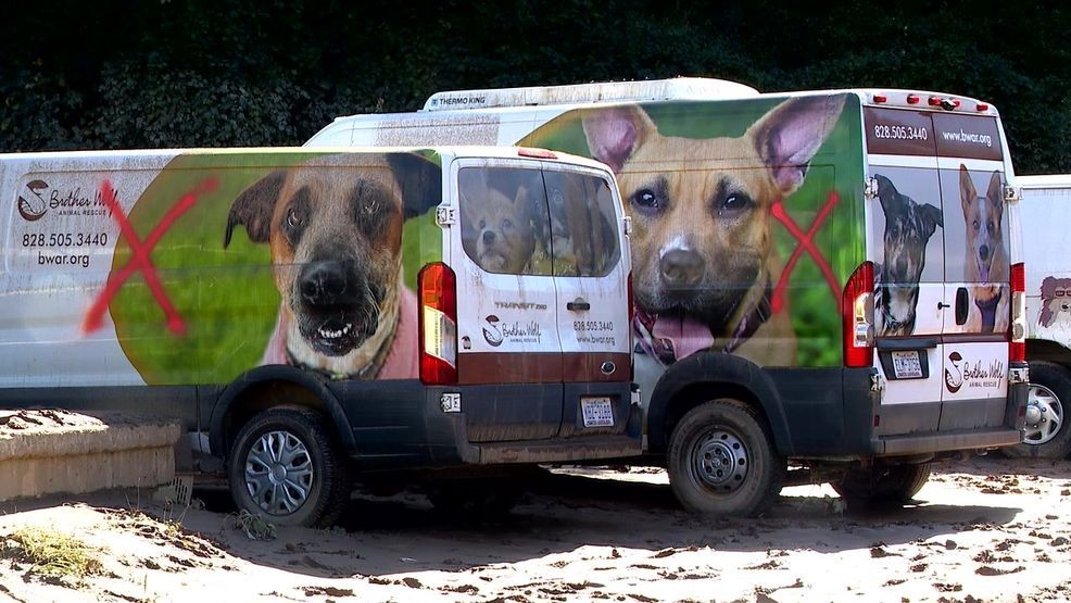 Brother Wolf receives $1M grant to support rebuilding of animal ...