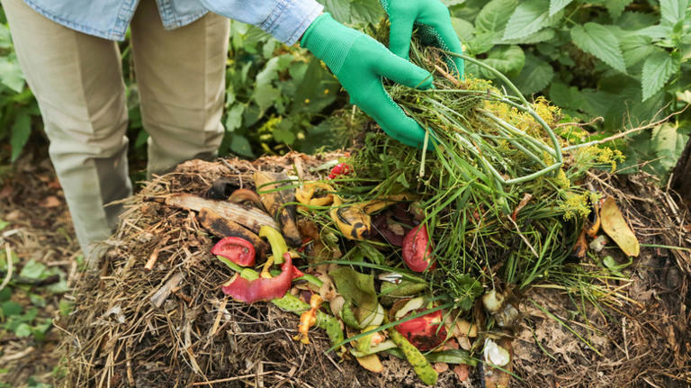 Not fallen leaves or grass clippings: The garden pruning scrap to add ...