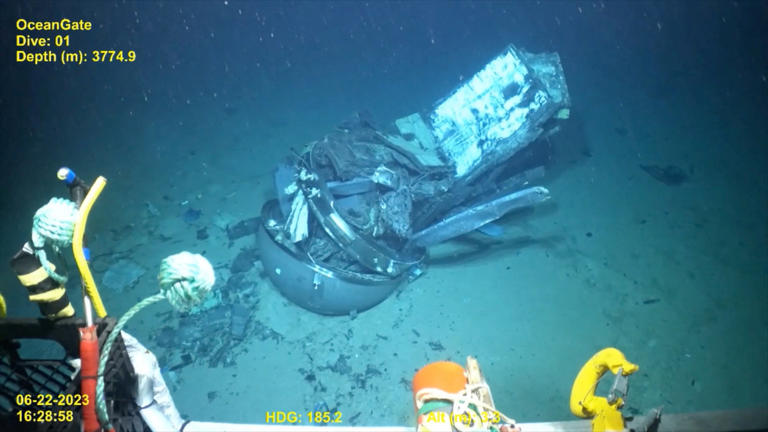 Titan sub disaster caused by design flaws and company failures: report