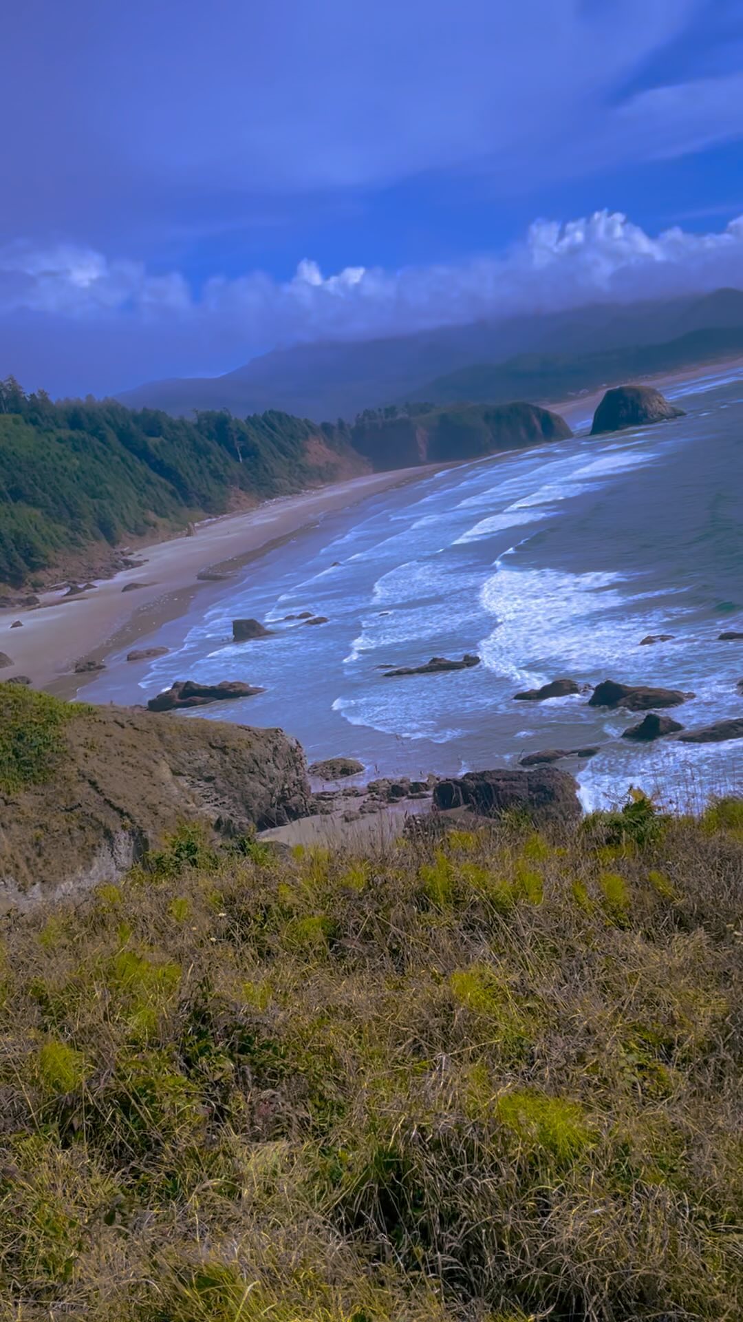 Scenic views along the Oregon coast