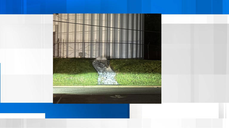 Beloved Florence water tower overflowing due to overnight storms