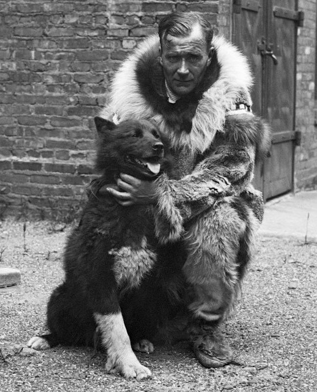 The true story of Balto, the husky who saved a small town in Alaska