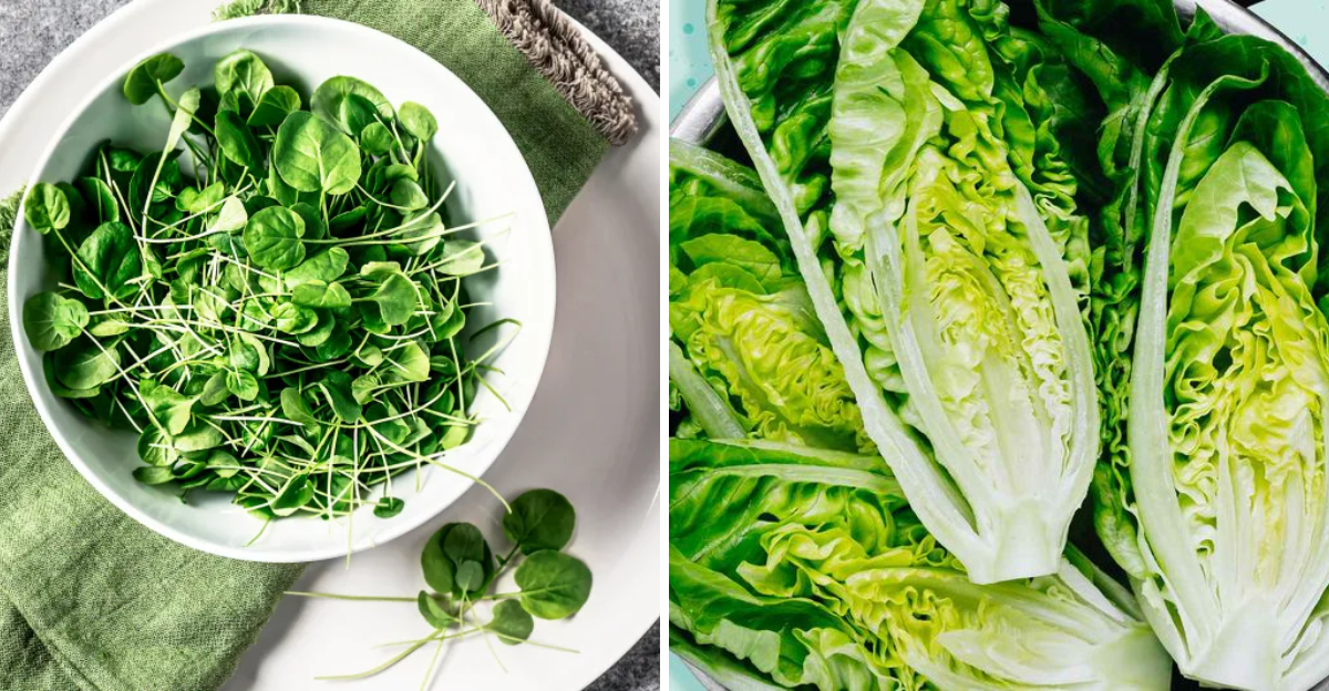17 everyday leafy greens with surprisingly useful health benefits