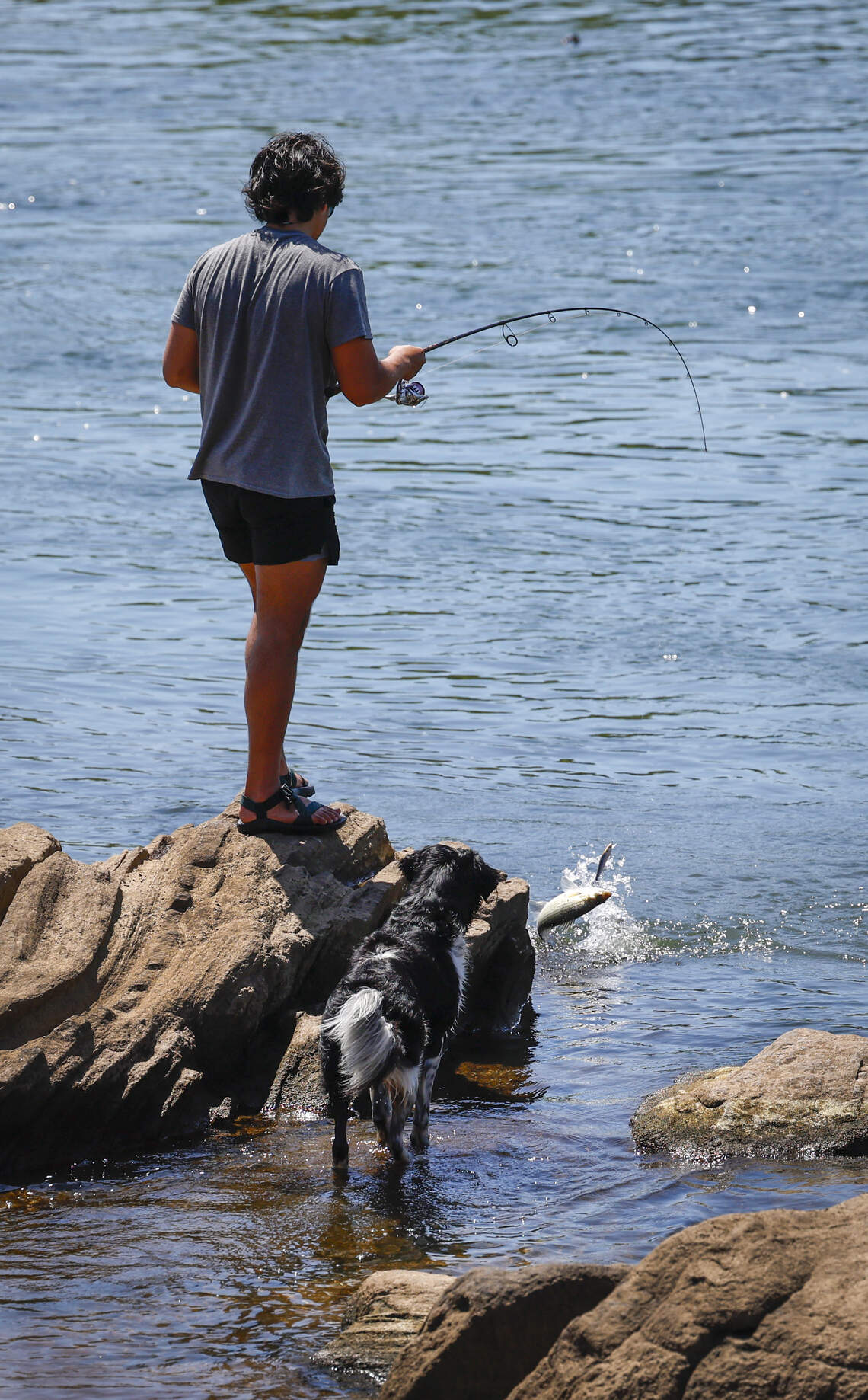 2 SC spots among the best fishing destinations for Father's Day in US ...