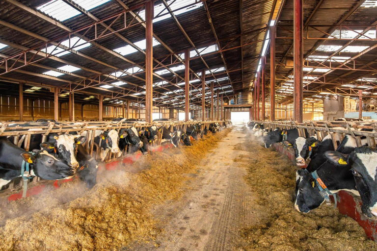 This outstanding £5 million farm - Carse Hall Farm - with 328 acres is ...