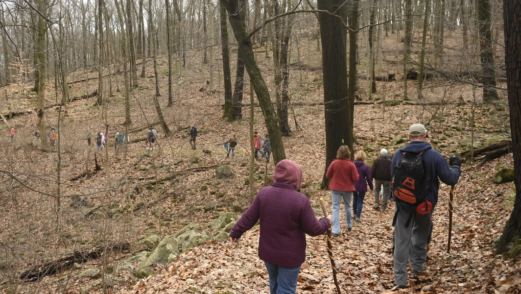 Exploring West Virginia's Patterson Loop Trail