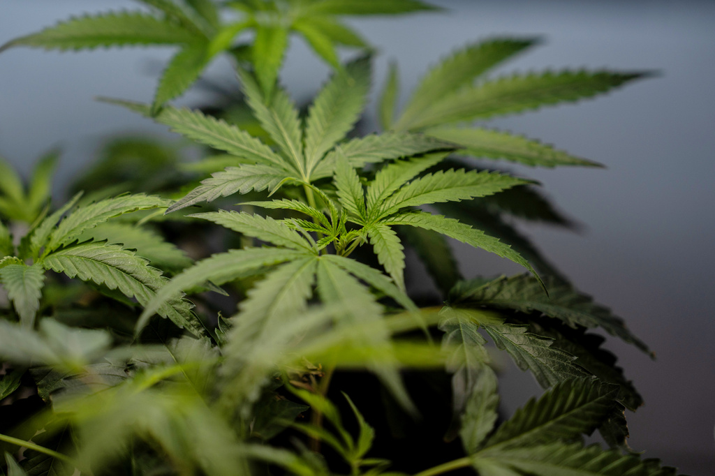 Supreme Court sides with a Texas man who says it’s not a crime for ...