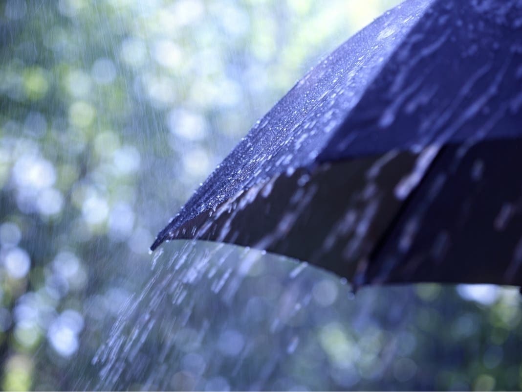 Cooler temps, more rain this weekend: Metro Detroit weather