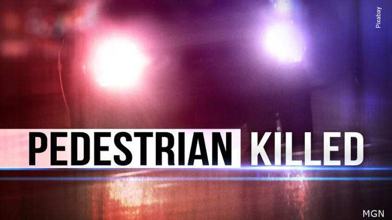 Pedestrian dead after overnight Boone County crash, police say