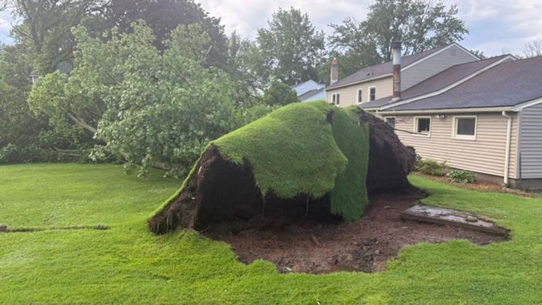 Storm downs large trees in Ogden-Parma area