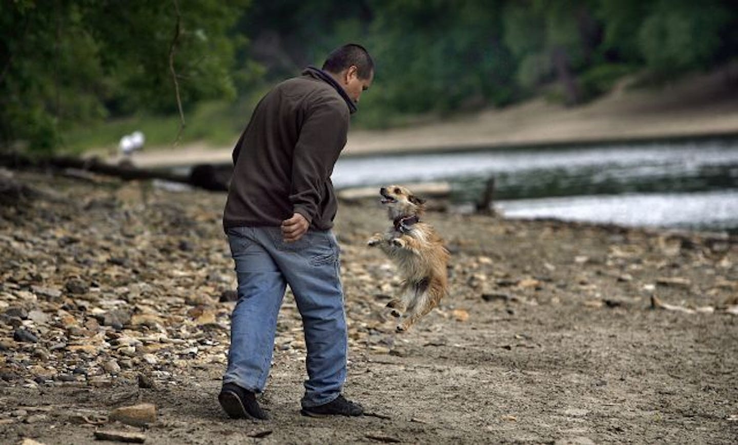Minneapolis Park Board votes to end Minnehaha Off-Leash Dog Park