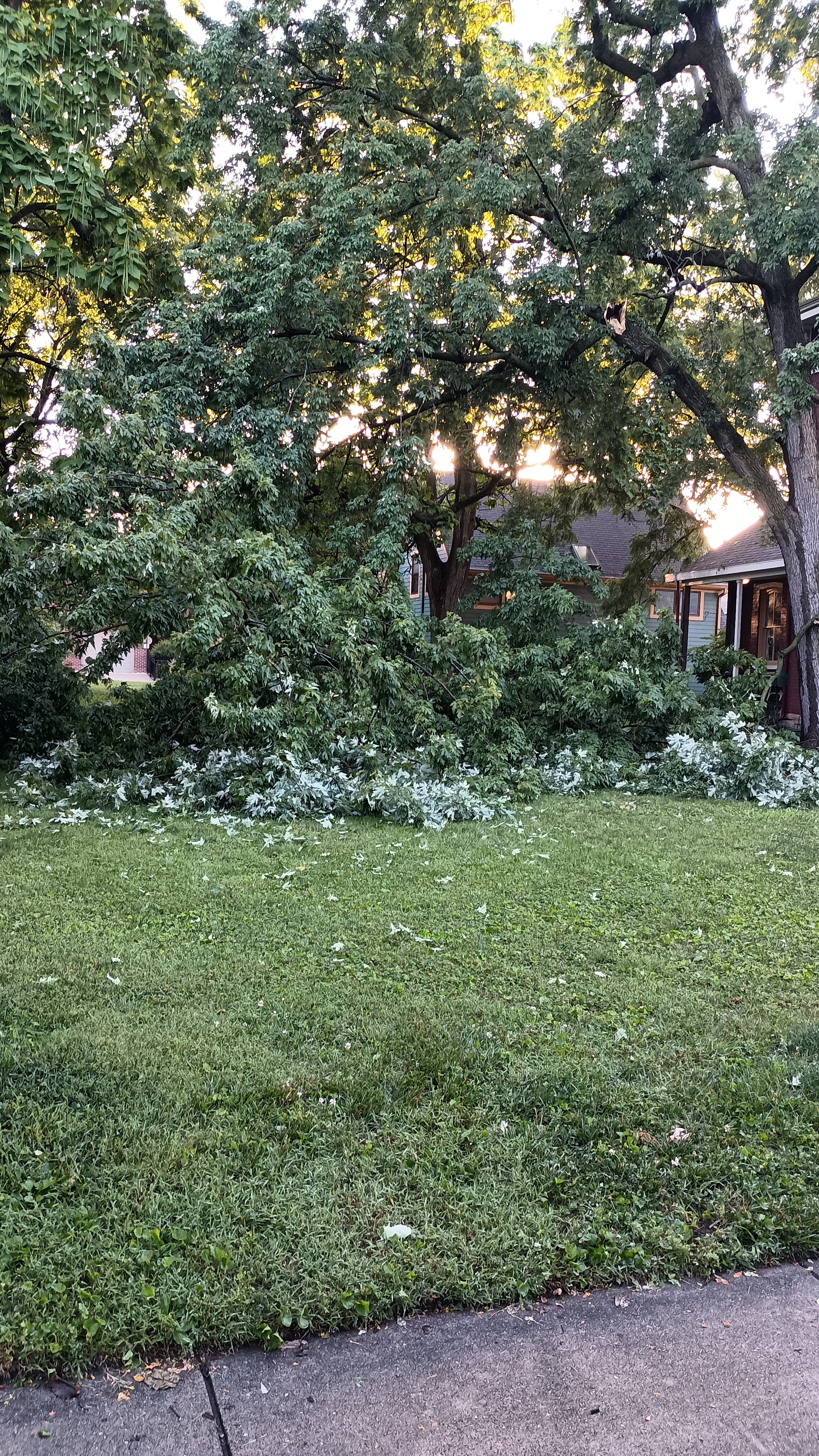 Hoosiers recorded storm activity, damage from the June 17-18 storm