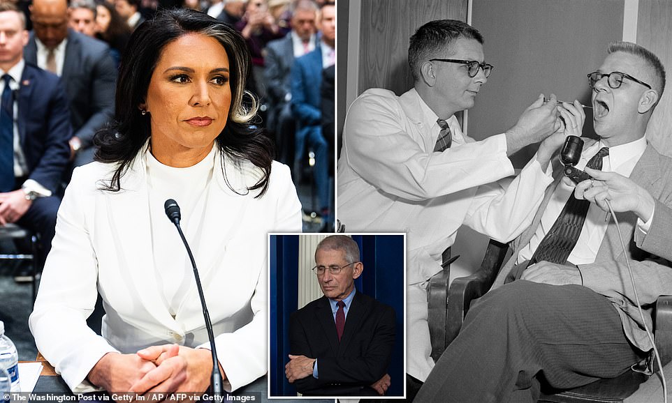 Report: Gabbard to release secret CIA files on COVID and Fauci