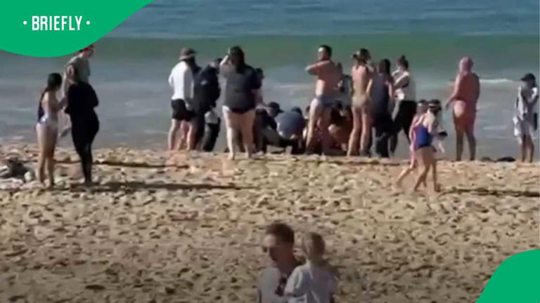 Leah Stewart identified after devastating shark attack at Sydney's ...