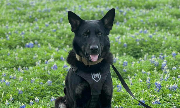 Hewitt PD K9 officer passes away