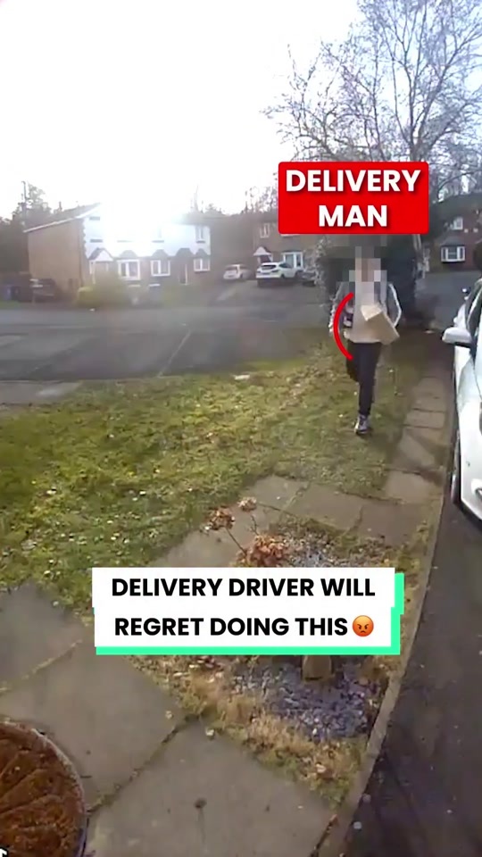 This delivery driver didn't realize he was being recorded