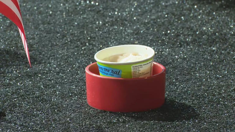 Ice cream oracle: Junior licks Team USA bowl to pick Seattle World Cup ...