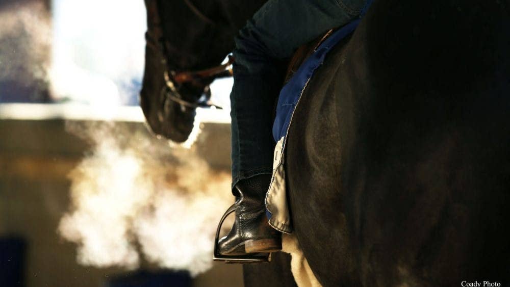Breathing under pressure: What is recurrent laryngeal neuropathy in horses?