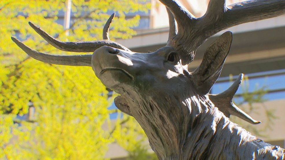 Southwest Main Street to close June 22 for Thompson Elk Statue crash ...