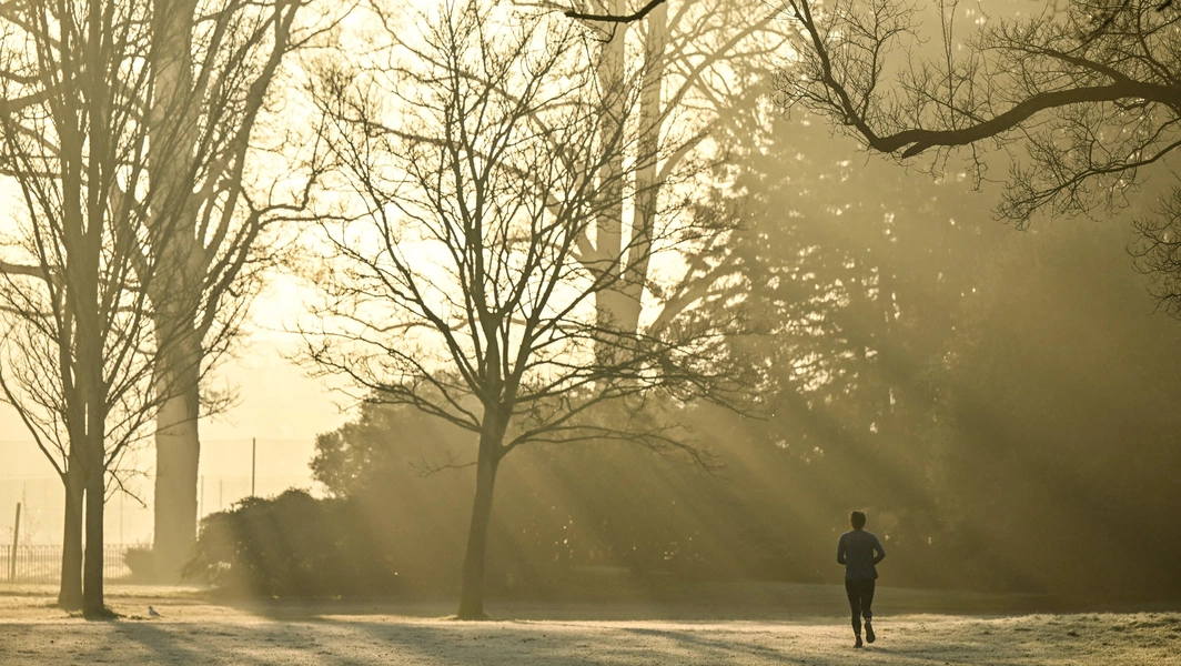 Morning vs evening workouts: Health and performance effects