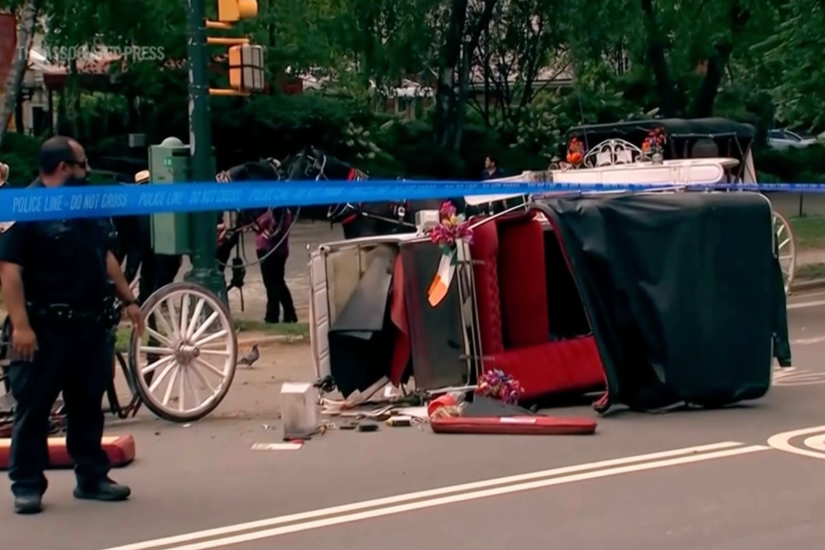 Tourist’s death reignites calls to ban horse-drawn carriages
