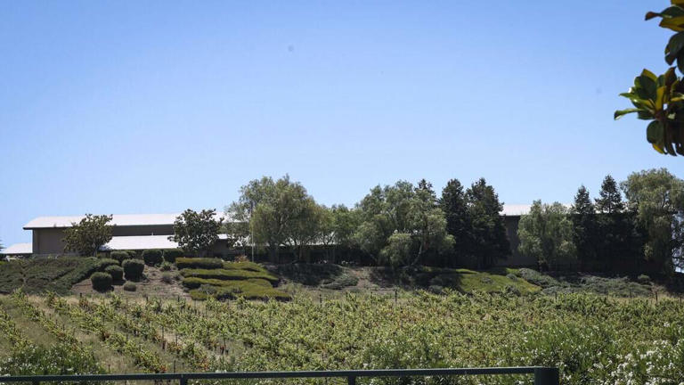 Owner of DAOU Vineyards is downsizing. What does it mean for the SLO ...