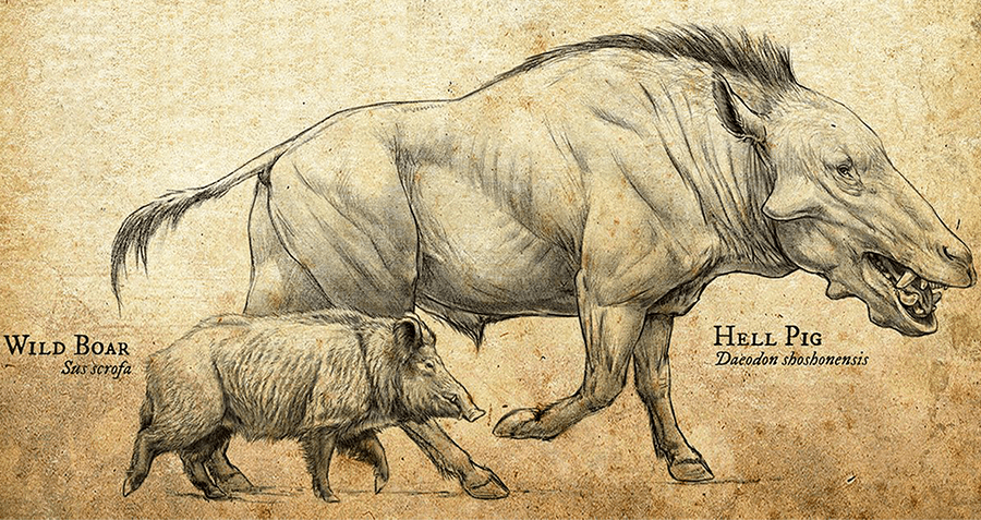 11 of ancient Earth’s most unbelievable prehistoric animals