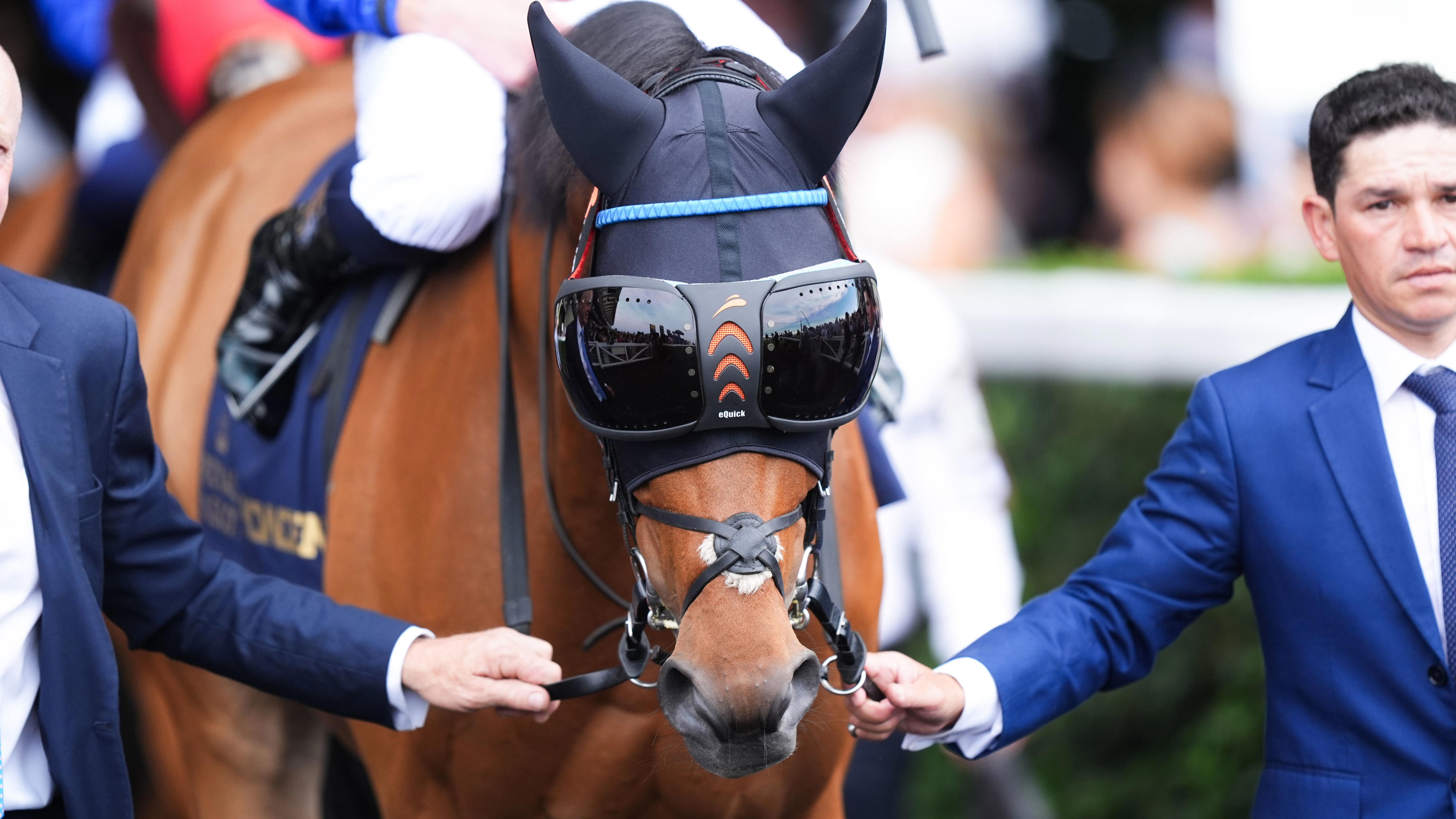 Ski goggles before the Gold Cup see Trawlerman go down fightin