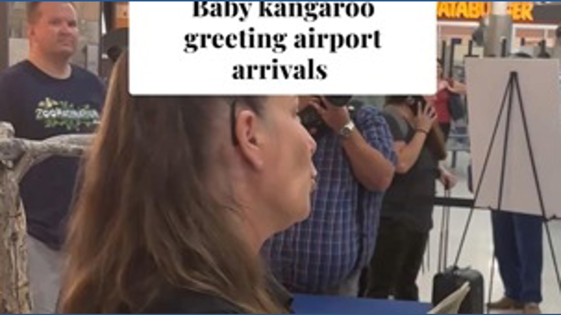 Baby kangaroo greets travelers at San Antonio International Airport