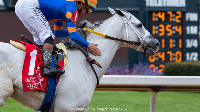 White Abarrio completes final work for Stephen Foster